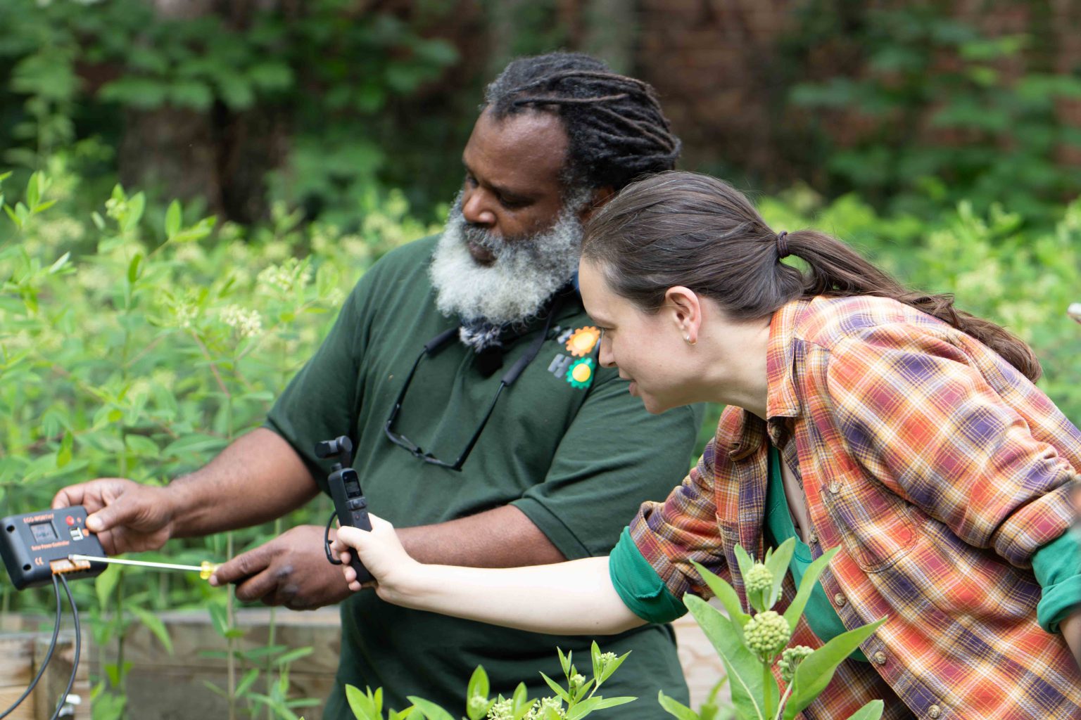 Get Paid to Train for a Green Career – Grow Home Baltimore